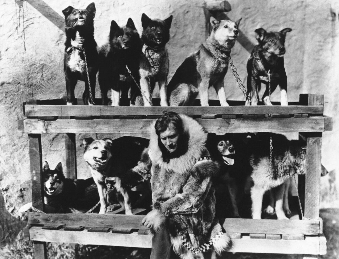 Remembering Balto: Mushers and dogs braved a horrific Alaska winter to ...